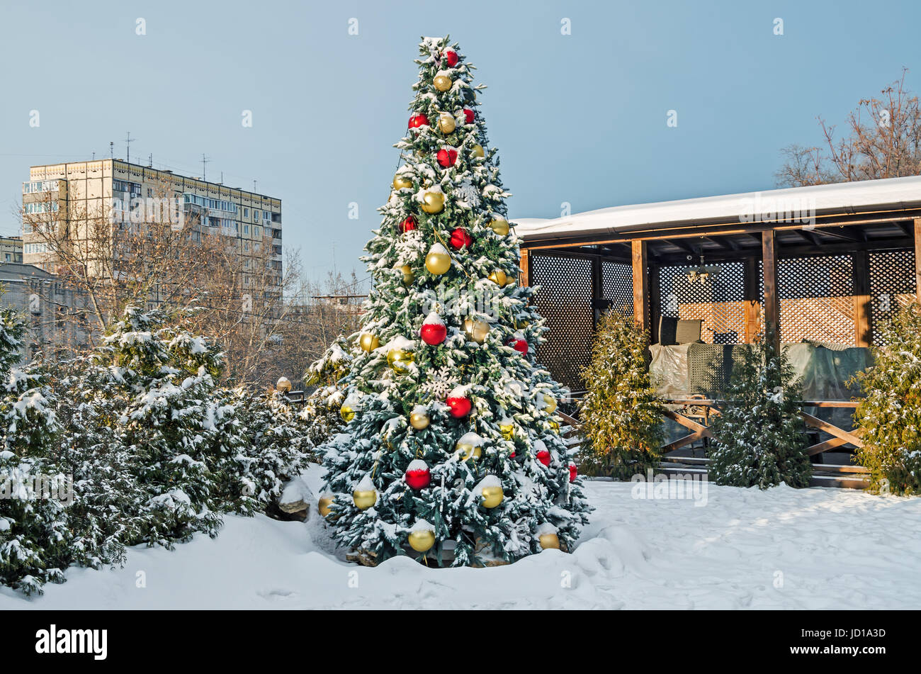 Beautiful snow covered Christmas tree in courtyard in the soft rays of ...