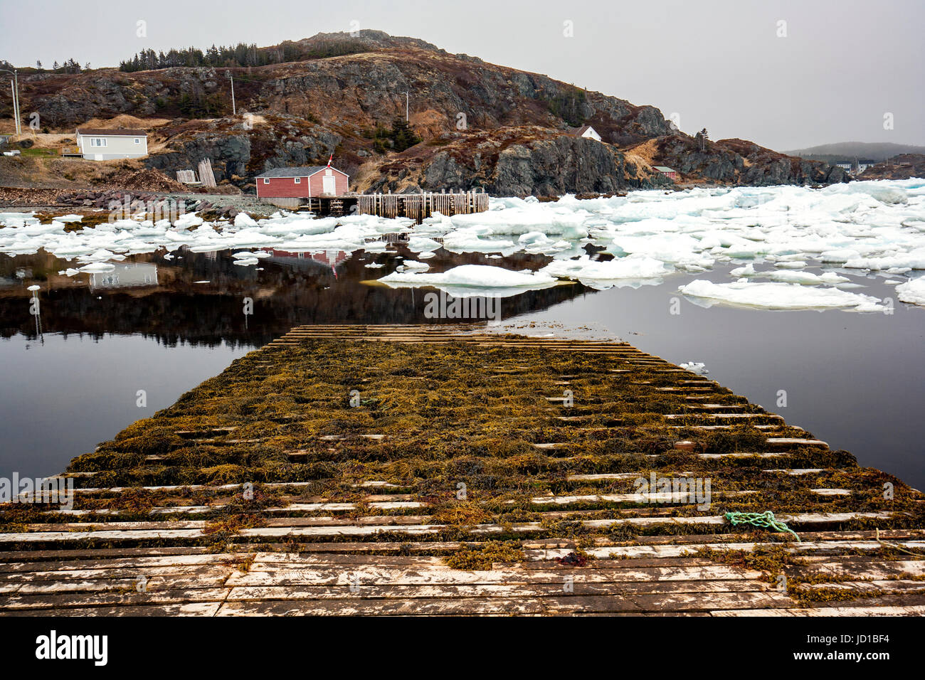 Dock in Durrell, Twillingate, Newfoundland, Canada Stock Photo - Alamy