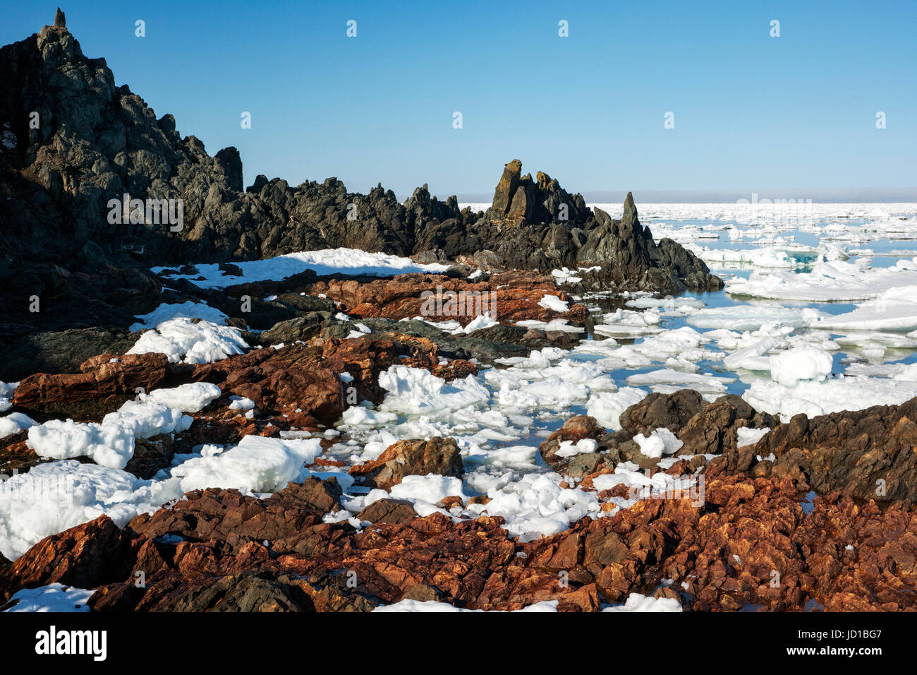 Atlantic crow head hi-res stock photography and images - Alamy