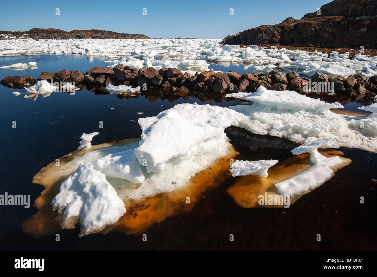 Sea ice in Durrell, Twillingate, Newfoundland, Canada Stock Photo - Alamy
