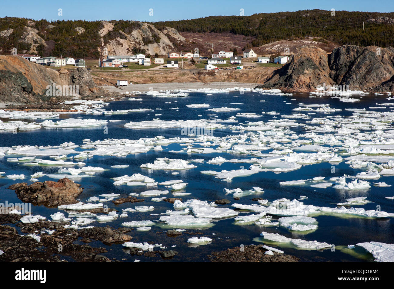 Crow head hi-res stock photography and images - Alamy