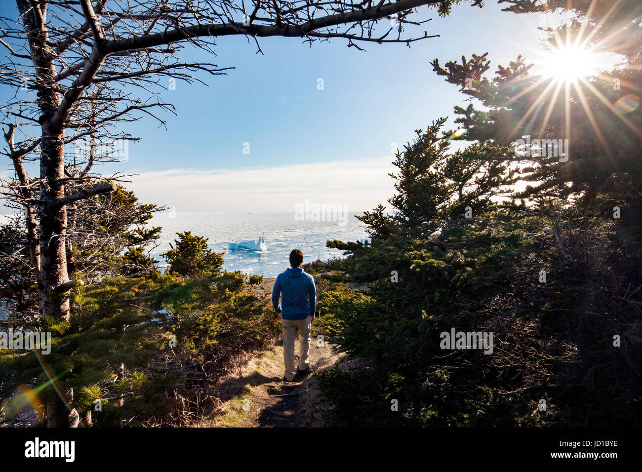 Hiker on trail of rugged cliffs in Crow Head, Twillingate, Newfoundland ...