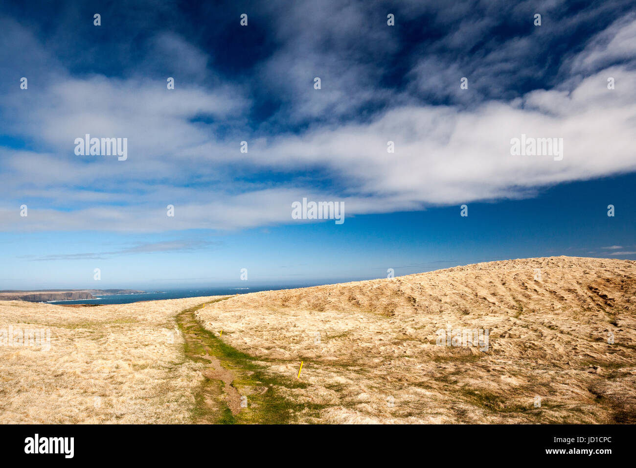 Trail through upland barrens at Cape St. Mary's Ecological Reserve ...