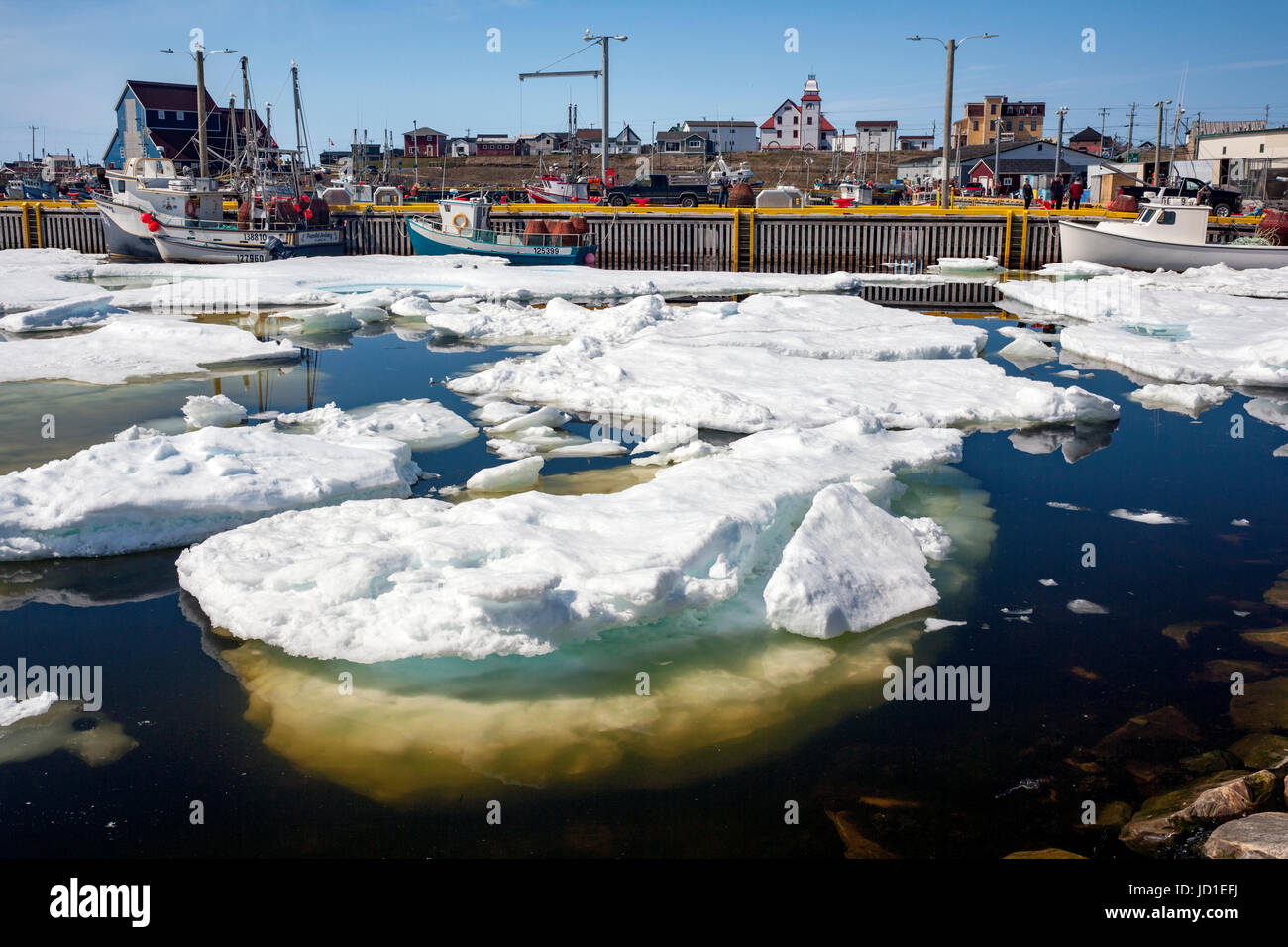 Sea Ice in Bonavista Harbour, Newfoundland, Canada Stock Photo - Alamy