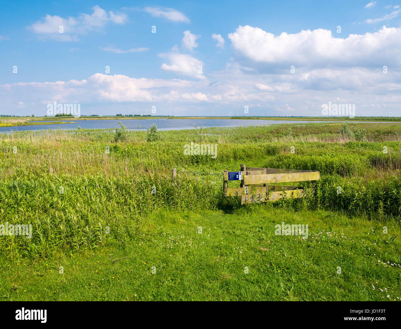 Polder landscape with wetland and grass on Tiengemeten island in ...