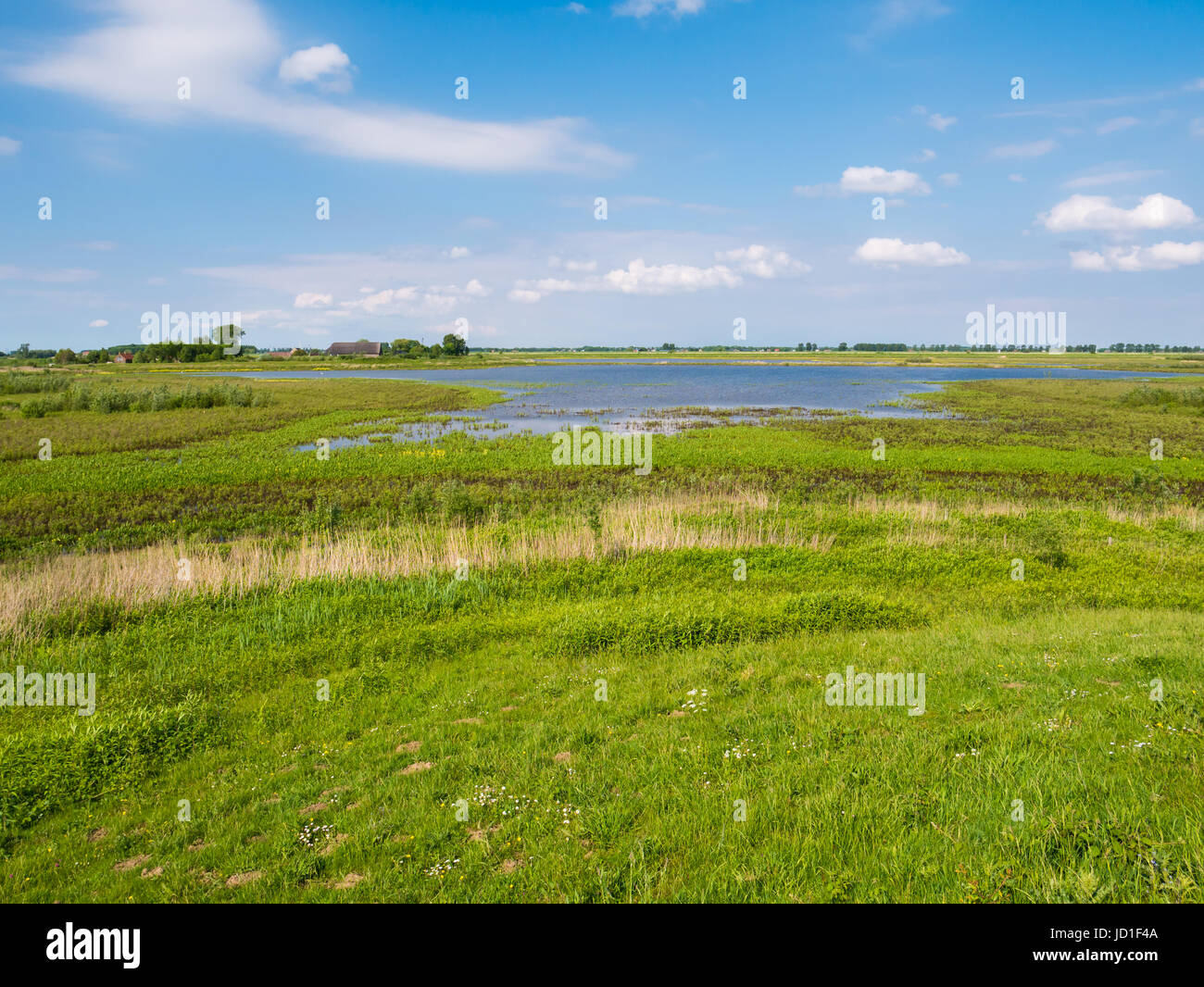 Polder landscape with wetland and grass on Tiengemeten island in ...