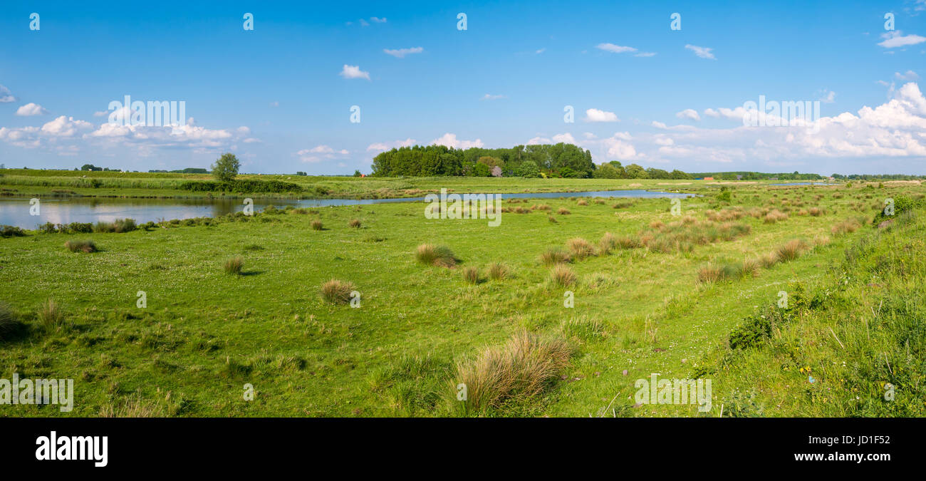 Panorama of wetland landscape of nature reserve Tiendgorzen ...