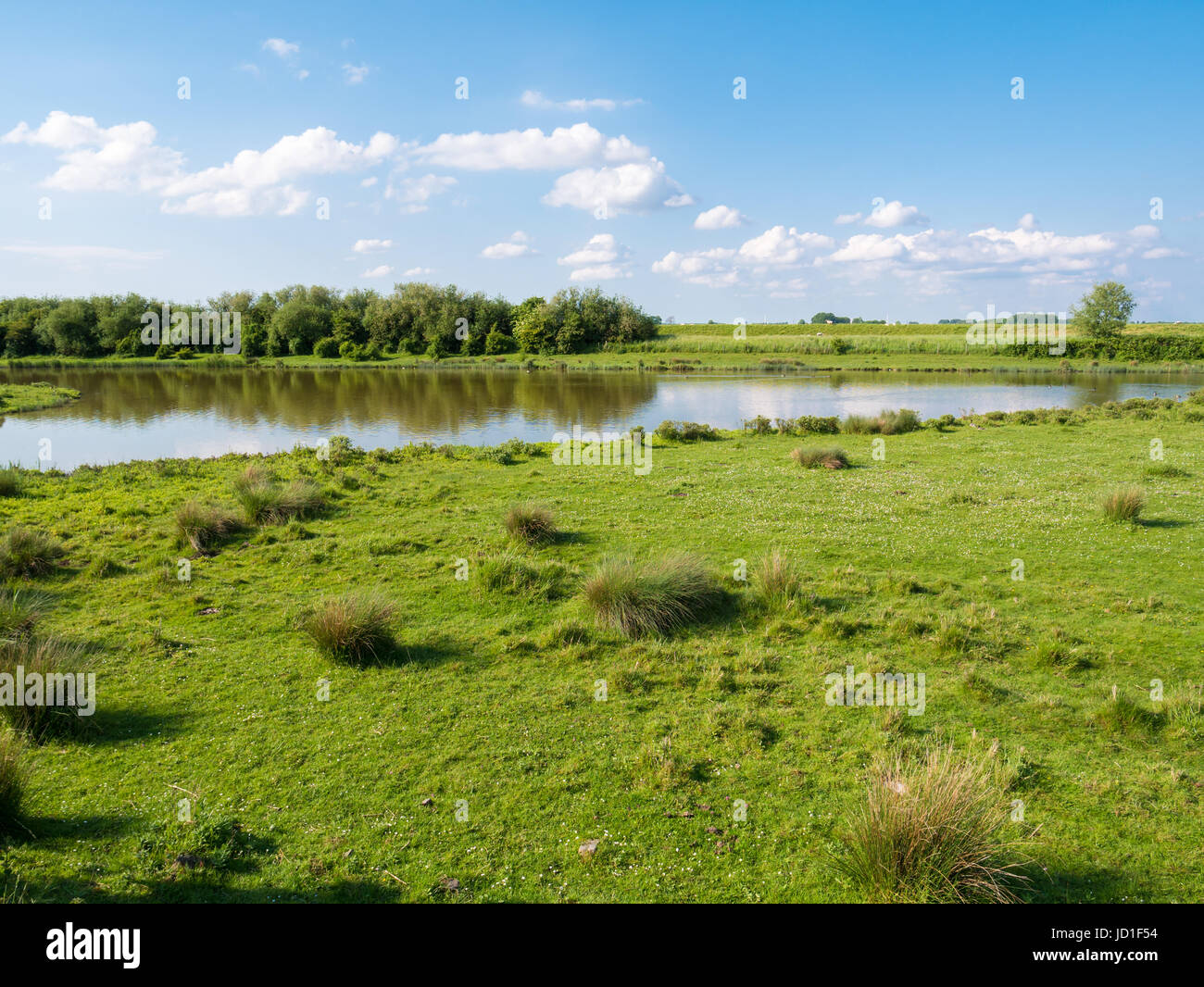 Panorama of wetland landscape of nature reserve Tiendgorzen ...