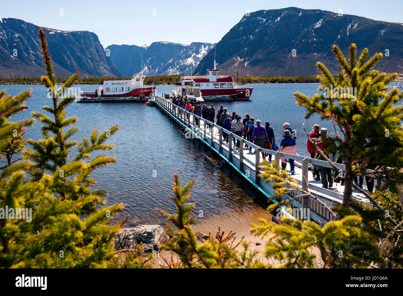 Gros morne national park hi-res stock photography and images - Alamy