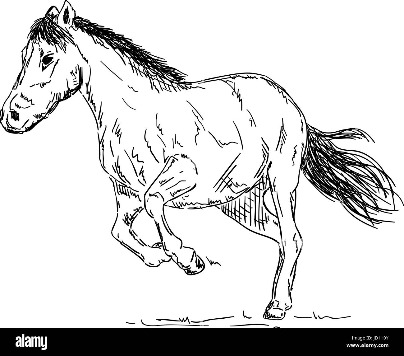 Colour run Black and White Stock Photos & Images - Alamy