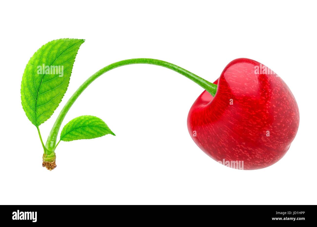 Cherry isolated on white background Stock Photo - Alamy