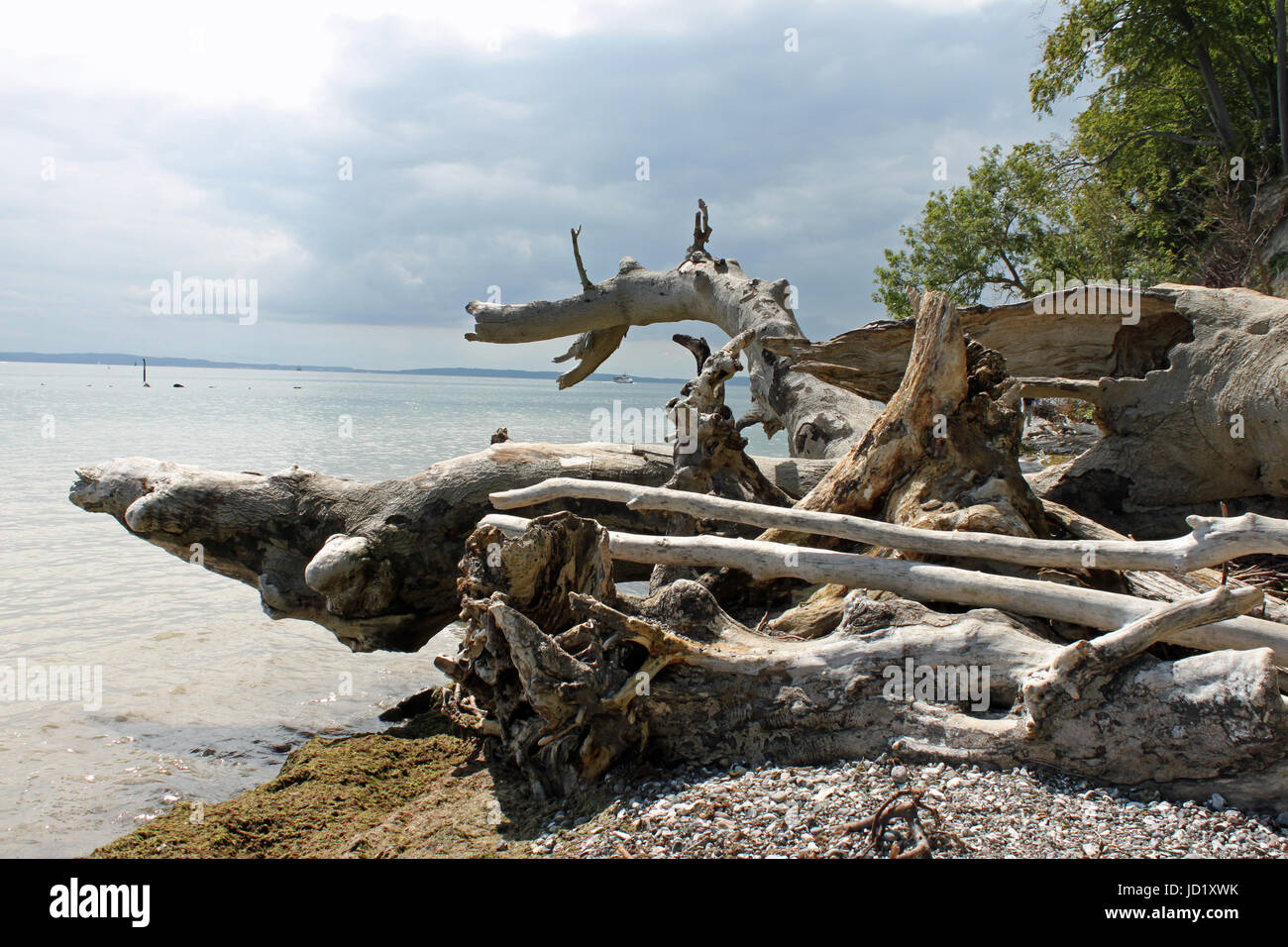 at the beach Stock Photo - Alamy