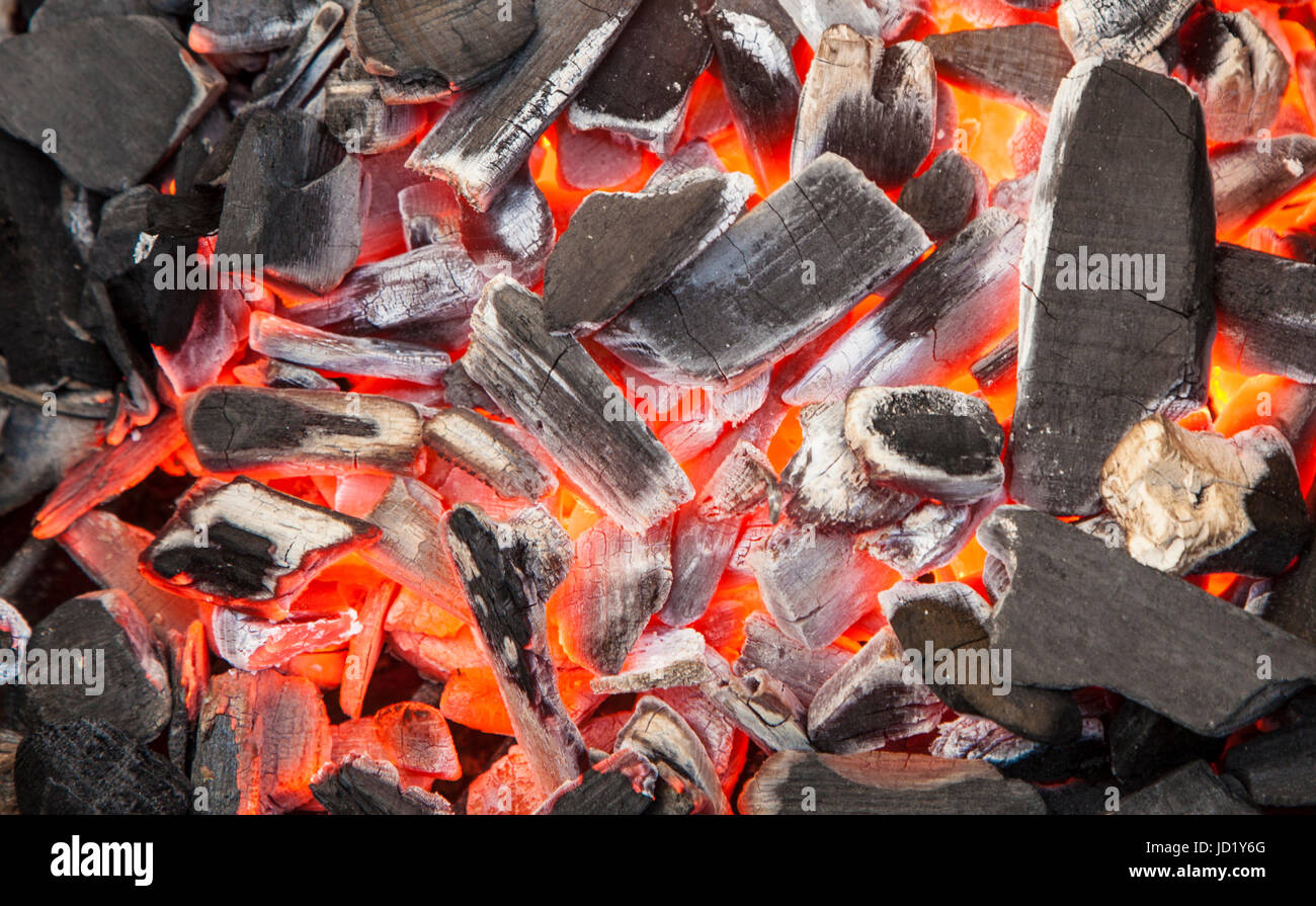 food, aliment, grill, barbecue, barbeque, charcoal, glaze, ash ...