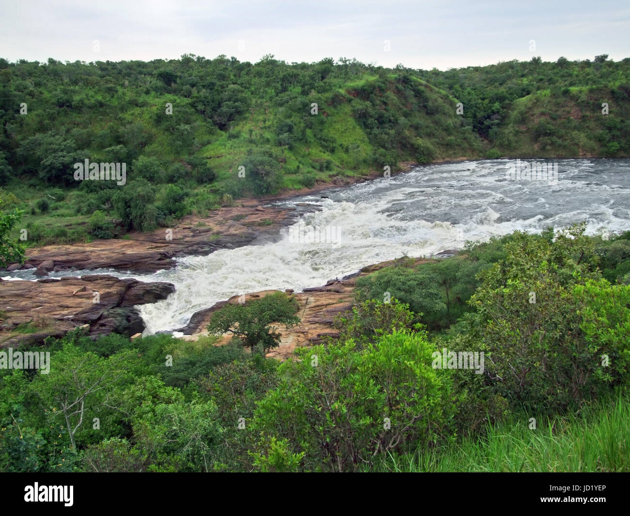 Nile river uganda aerial hi-res stock photography and images - Alamy