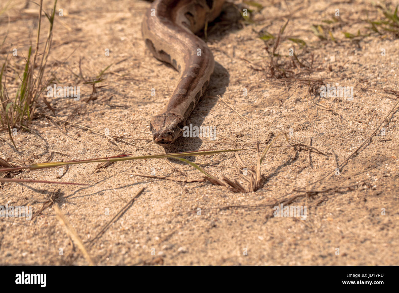 Ojatro hi-res stock photography and images - Alamy