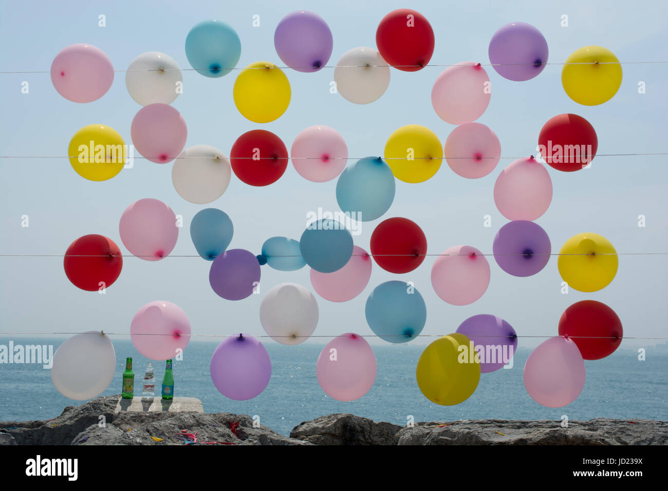 Colored balloons hanging on rope. For an air rifle shooting and ...