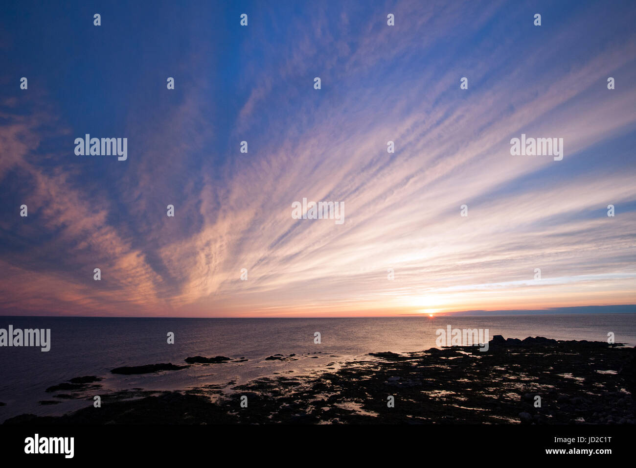 Newfoundland hi-res stock photography and images - Alamy