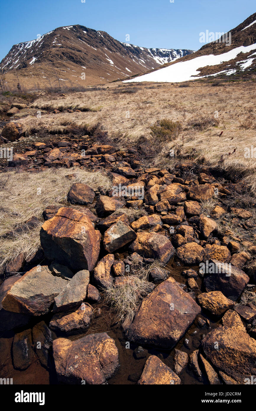 Tablelands, Gros Morne National Park, near Woody Point, Newfoundland ...