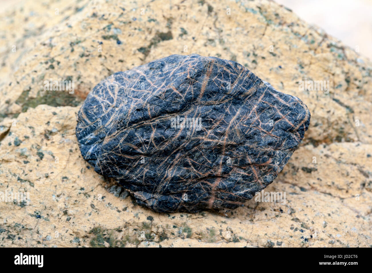 Close-up of serpentine Peridotite rocks in the Tablelands, Gros Morne ...