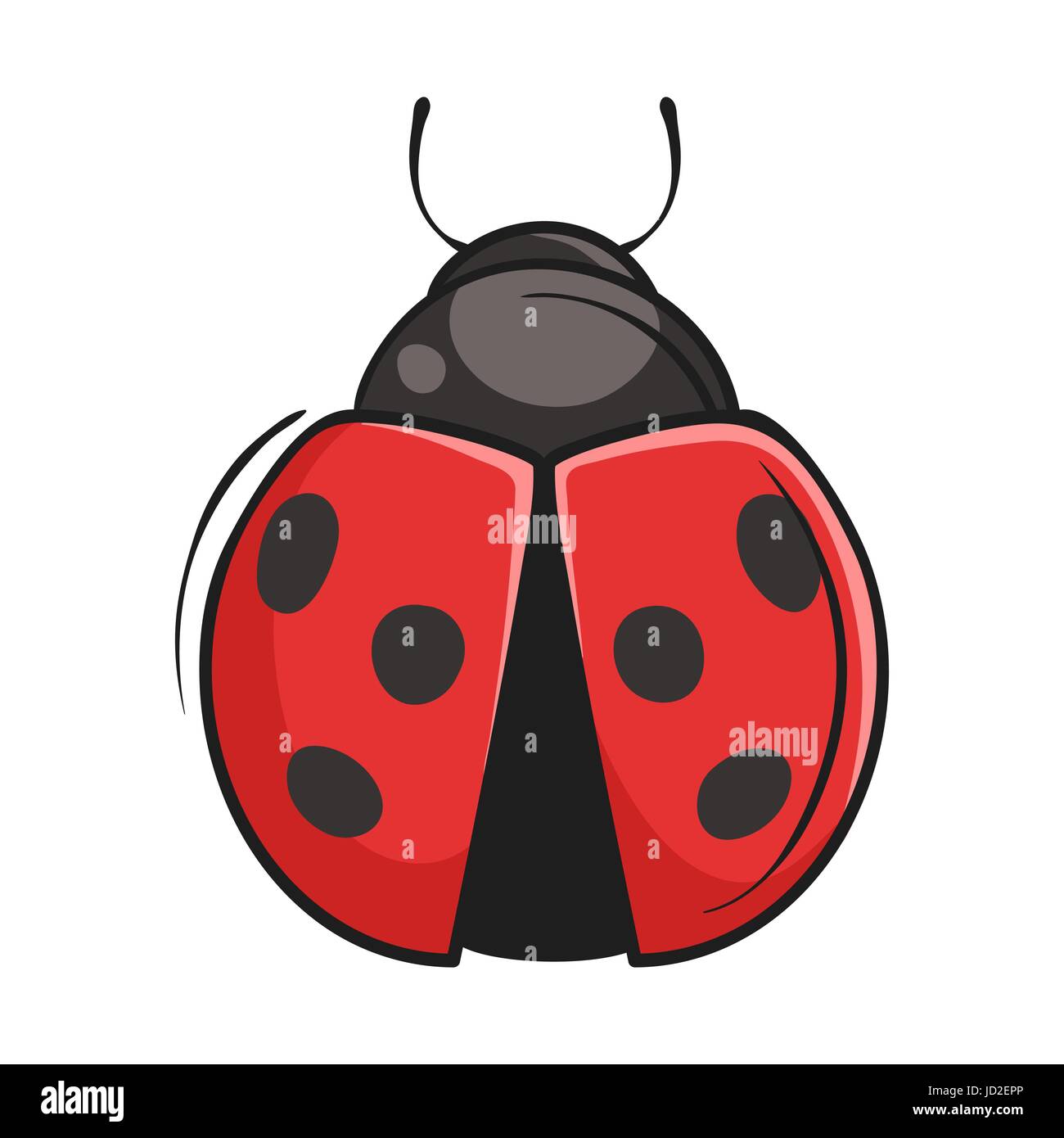Vector hand drawn illustration of ladybug isolated on white background ...