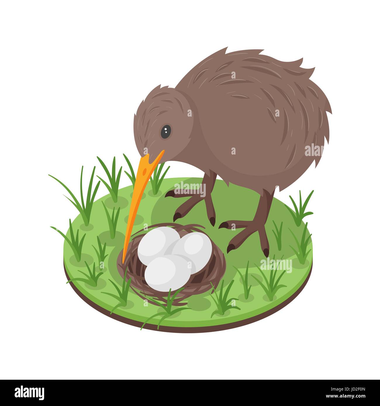 Kiwi bird nest hi-res stock photography and images - Alamy