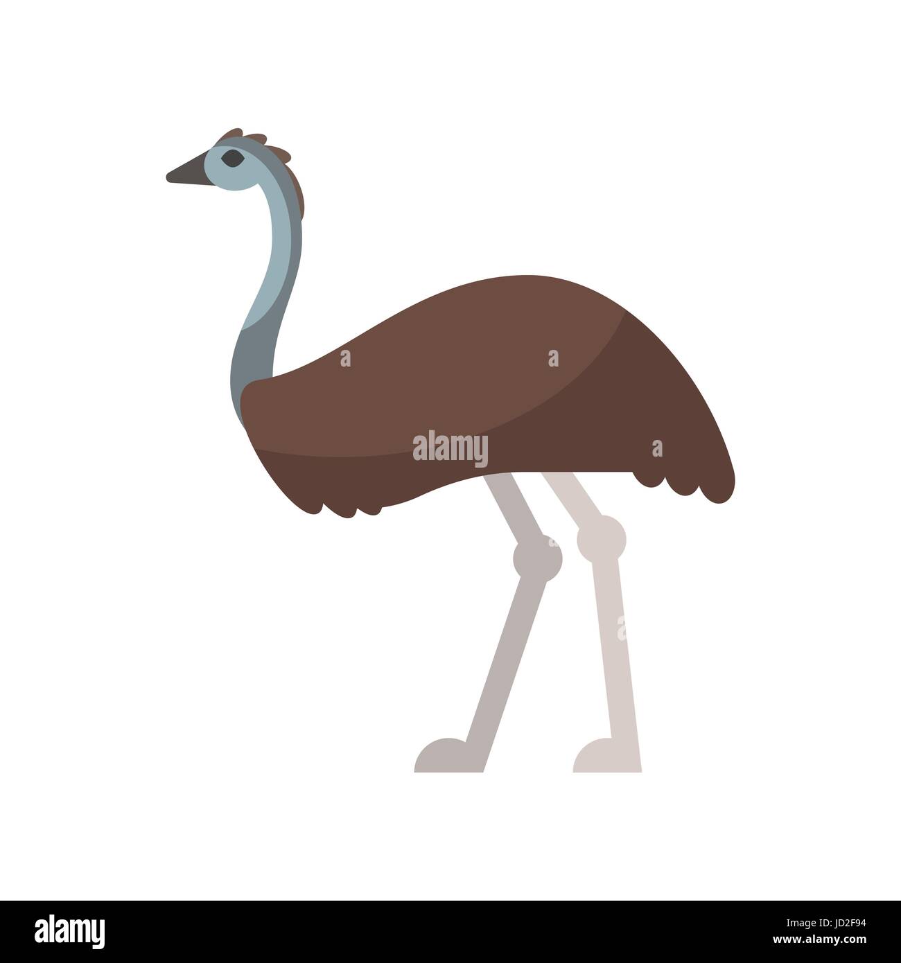 Vector flat style illustration of emu. Icon for web. Isolated on white ...