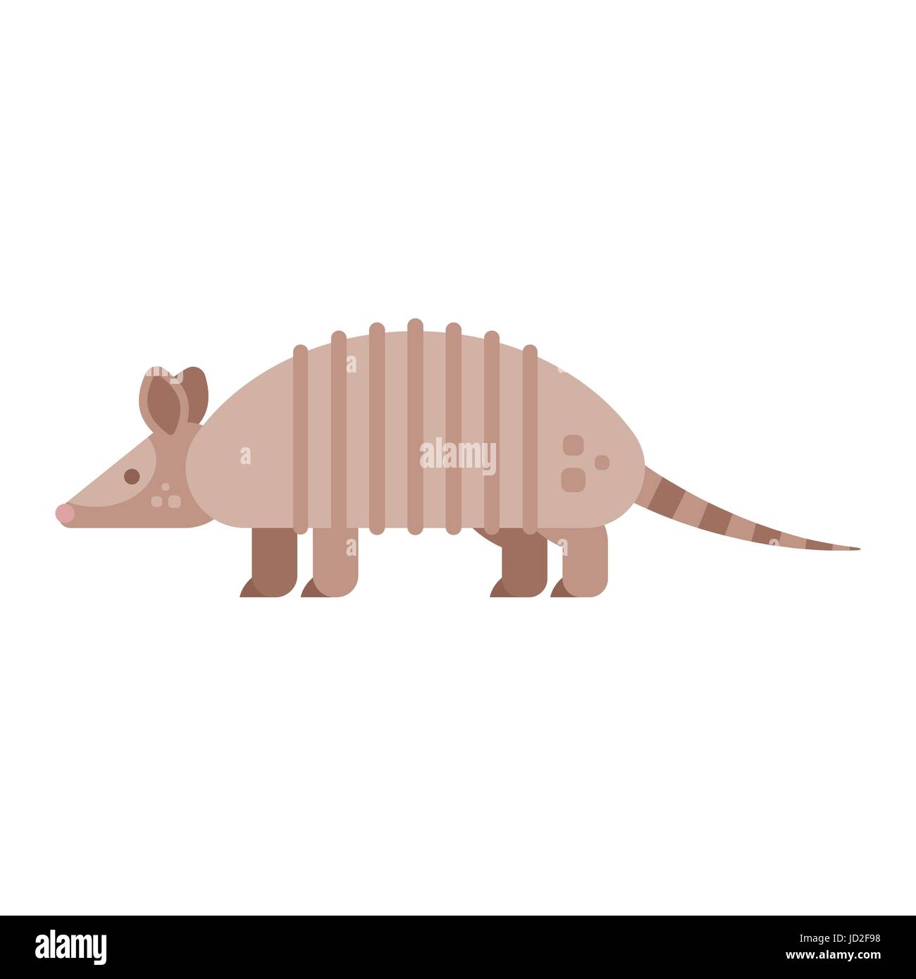 Vector flat style illustration of armadillo. Icon for web. Isolated on ...
