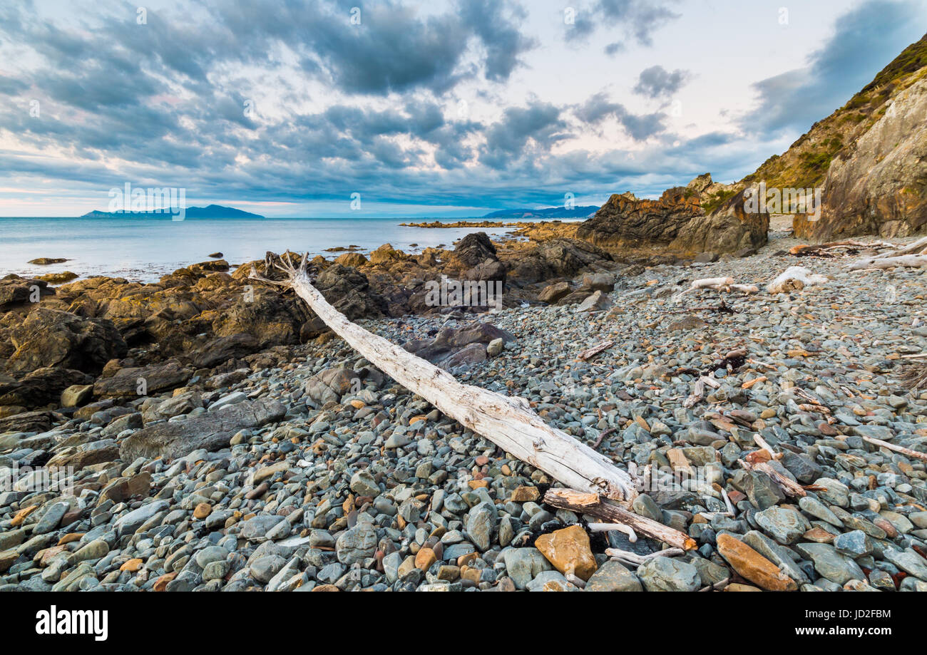 Ratoa reserve beach with lots of rocks and stones Stock Photo - Alamy
