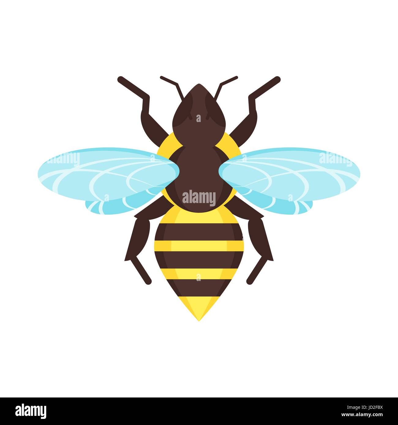 Vector flat style illustration of bee. Icon for web. Isolated on white ...