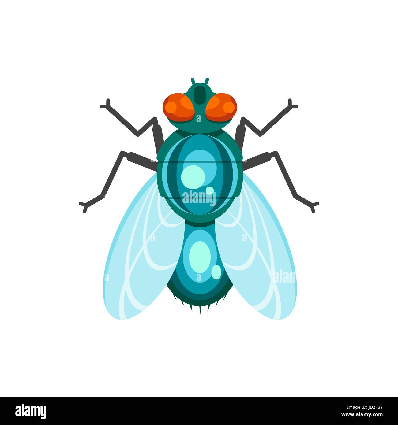 Vector flat style illustration of fly. Icon for web. Isolated on white ...