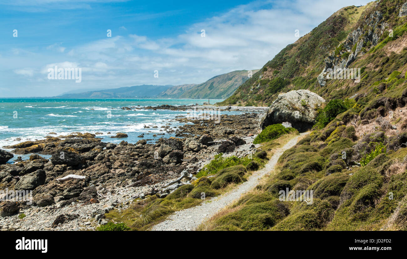 Raroa reserve hi-res stock photography and images - Alamy