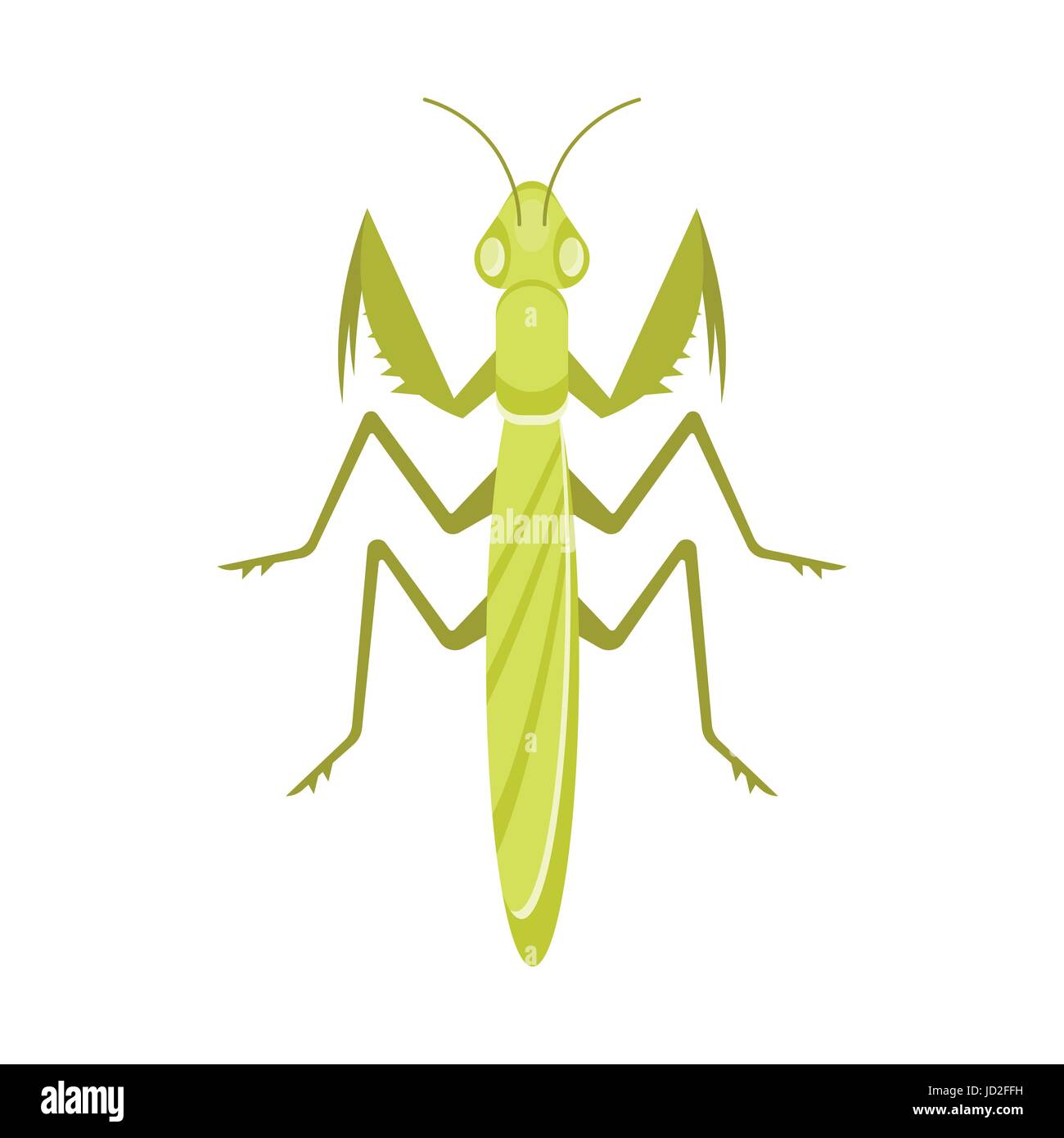 Adult mantis Stock Vector Images - Alamy