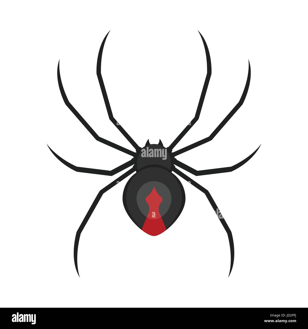 Redback spider web Stock Vector Images - Alamy