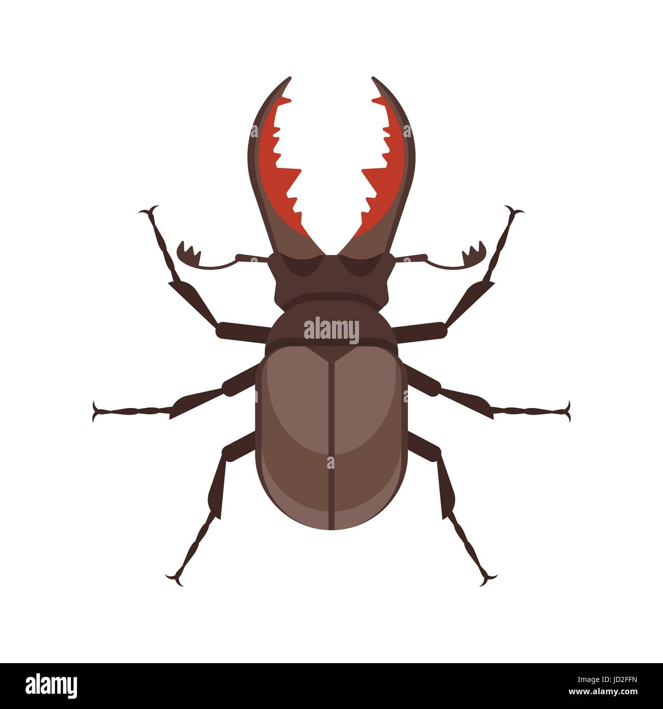 Vector flat style illustration of stag beetle. Icon for web. Isolated ...