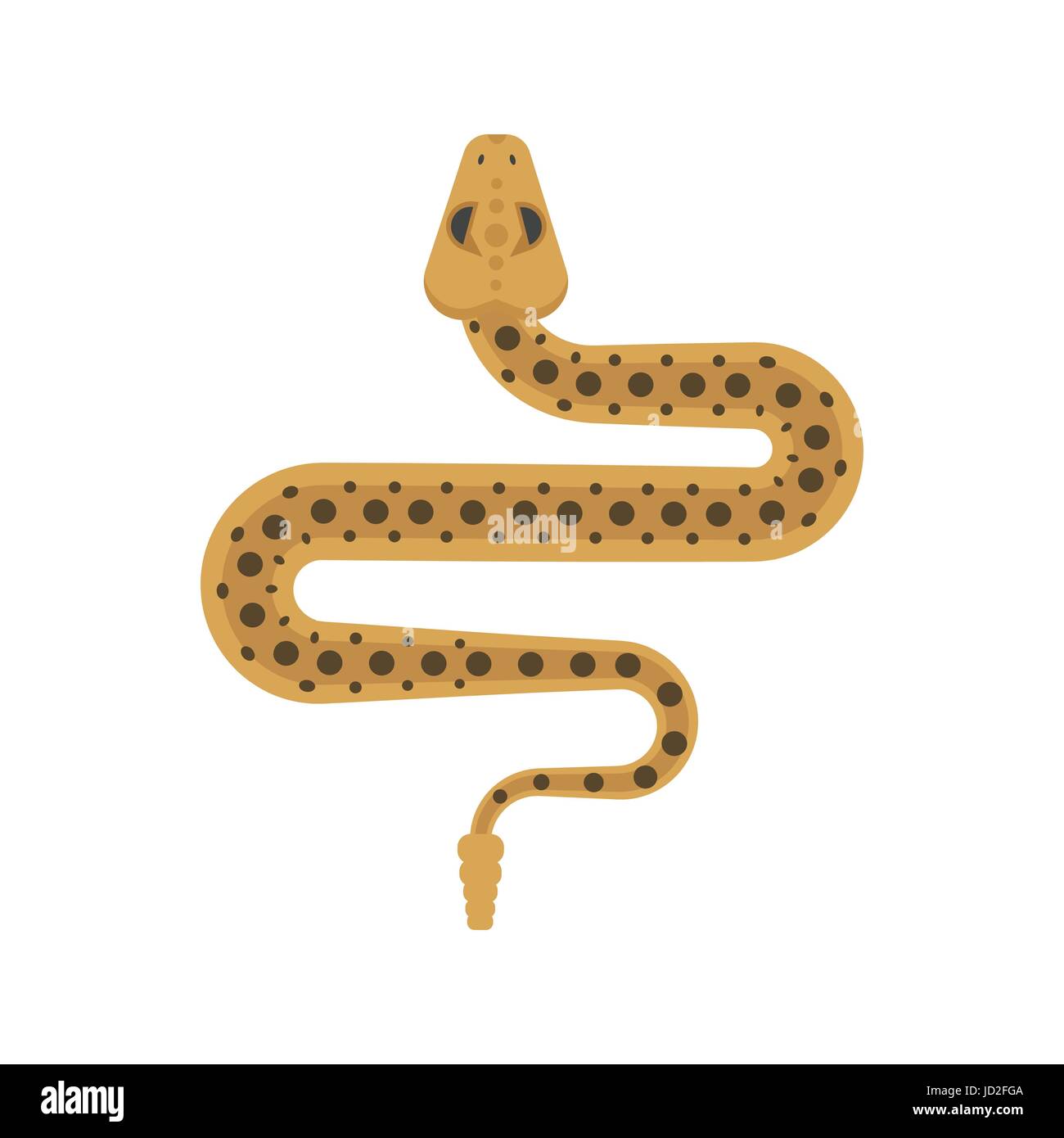 Sidewinder snake Stock Vector Images - Alamy