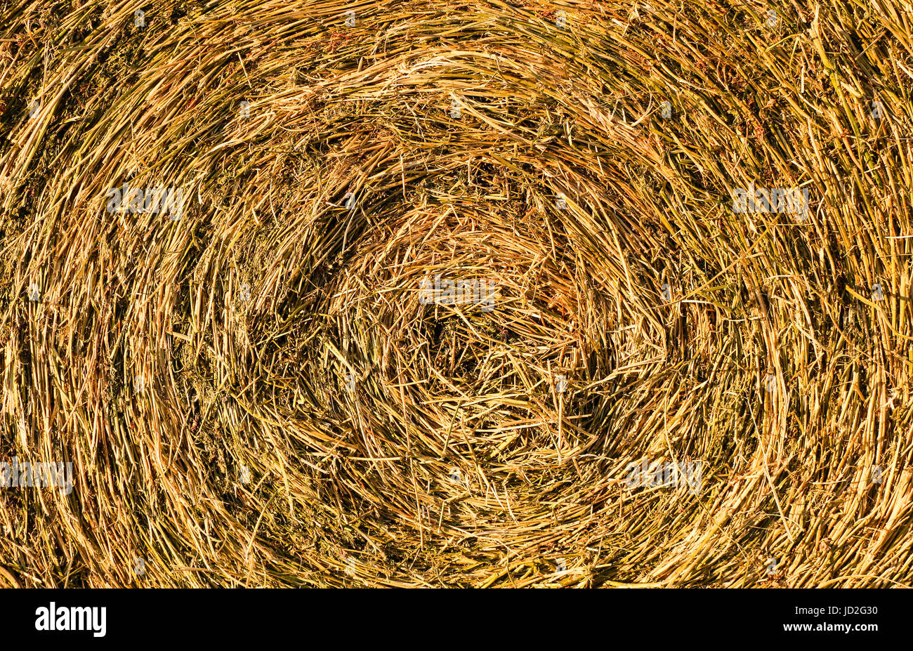 Hay texture hi-res stock photography and images - Alamy