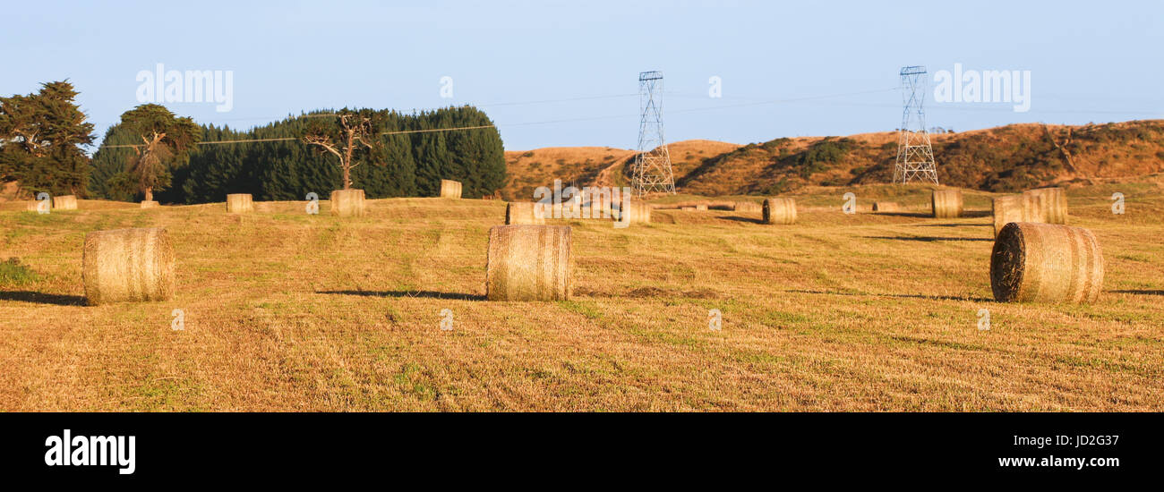 Farming made easy in New Zealand, just roll up the hay and roll it out ...