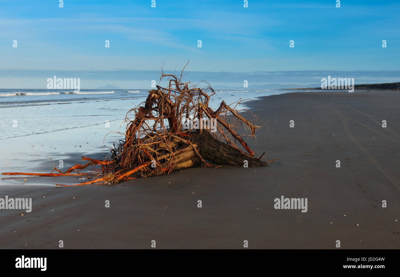 Sand strom hi-res stock photography and images - Alamy