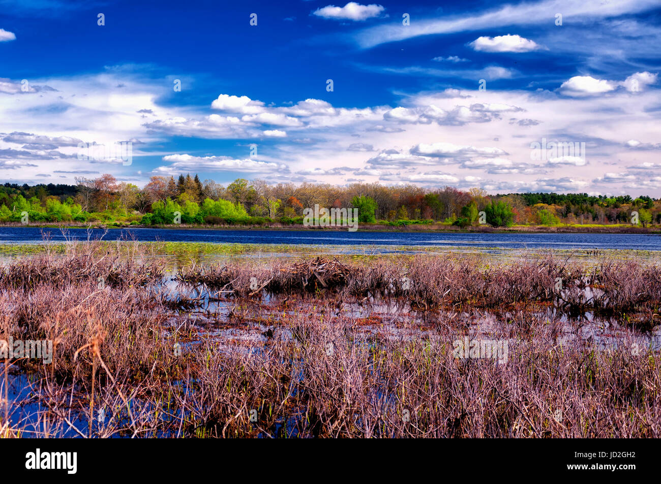Bantam River High Resolution Stock Photography and Images - Alamy