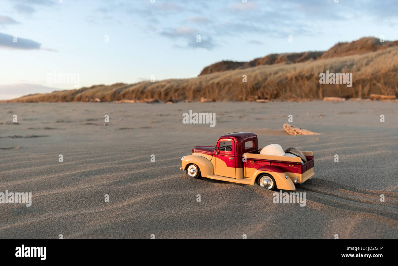 Pick up shells on the beach hi-res stock photography and images - Alamy