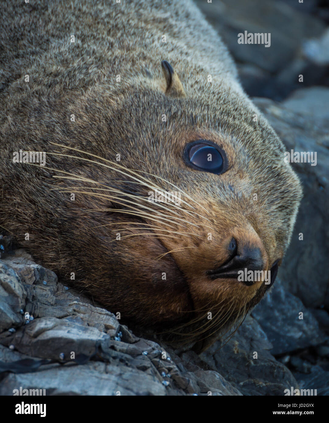 Bit sad hi-res stock photography and images - Alamy