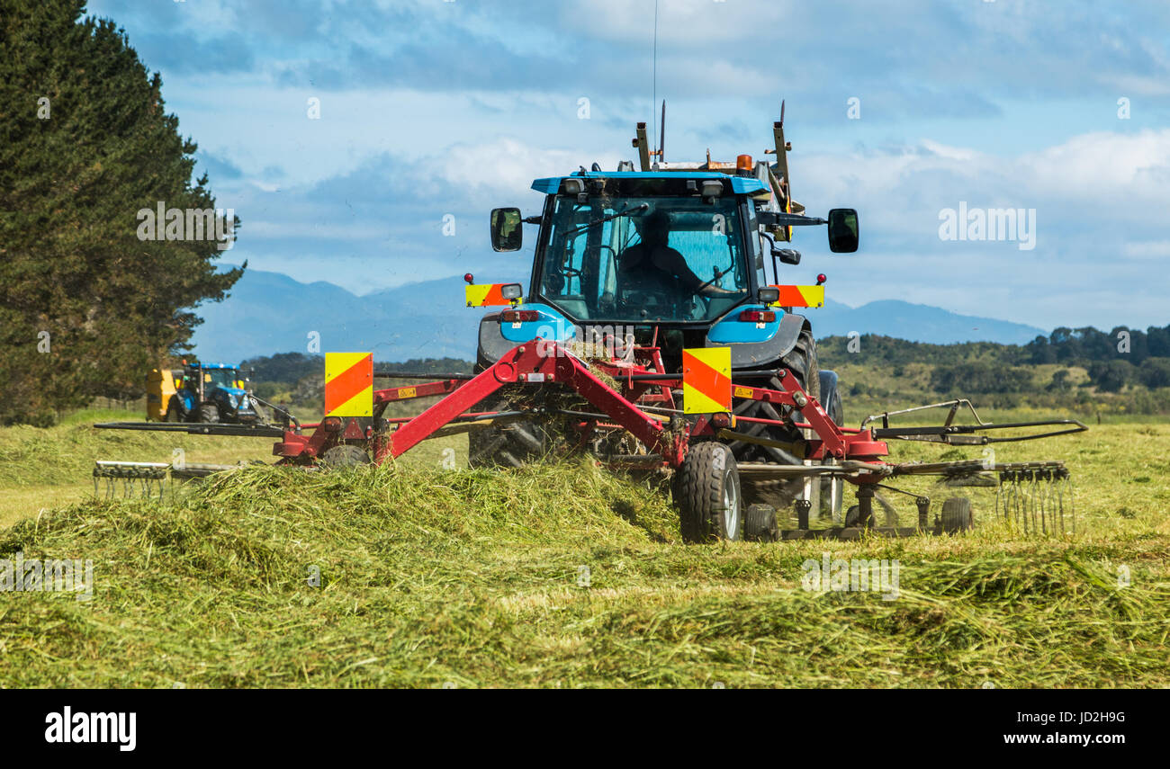 Farmer raking grass hi-res stock photography and images - Alamy