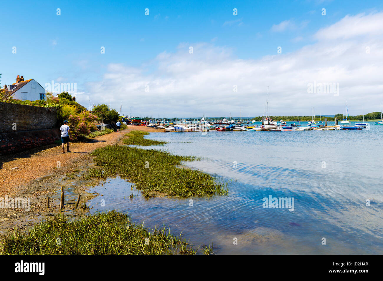 Rowing boats moored on the shoreline at West Itchenor, a small village ...
