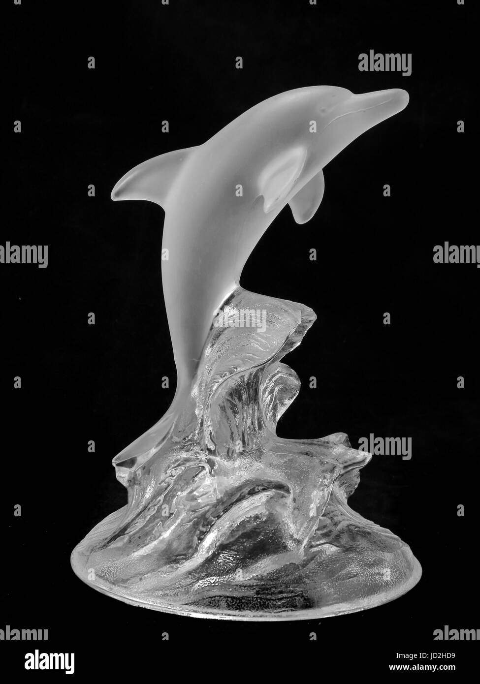 Dolphin image hi-res stock photography and images - Alamy