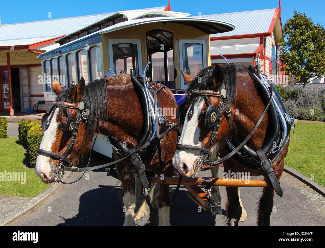 Clydesdale Have a rest at Foxton Tram Station Stock Photo - Alamy