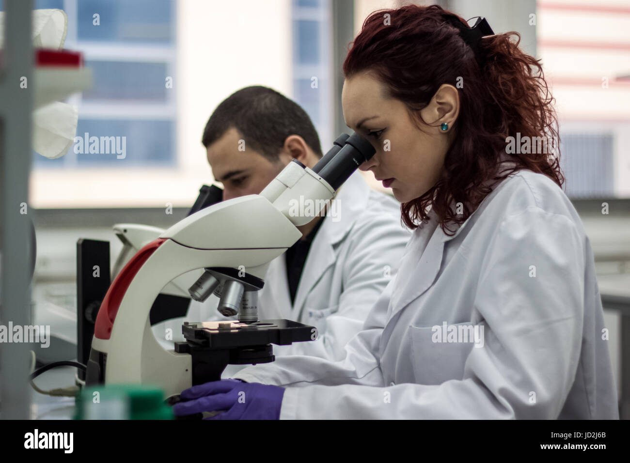A female medical or scientific researcher or woman doctor looking ...