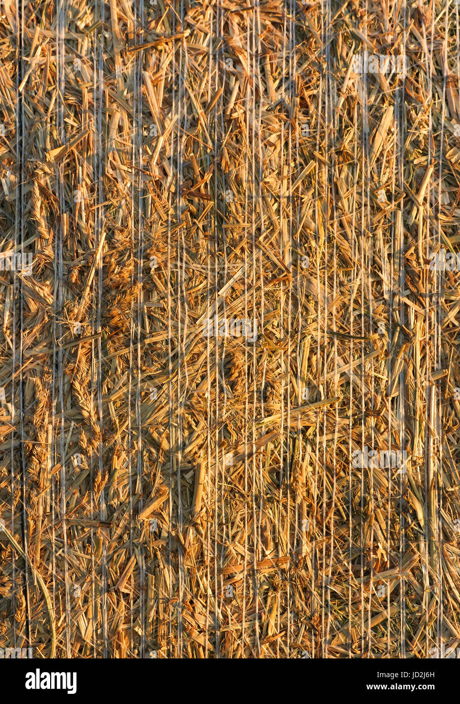 Wonderful lines hi-res stock photography and images - Alamy