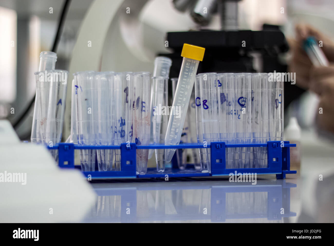 Modern scientist working in biotechnological laboratory equipment for ...