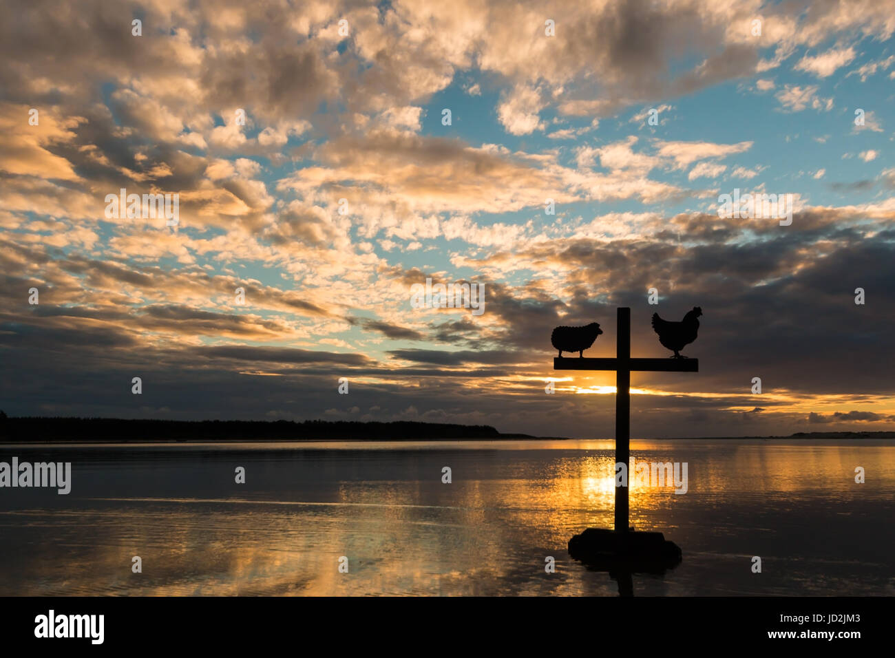 Rooster cross hi-res stock photography and images - Alamy