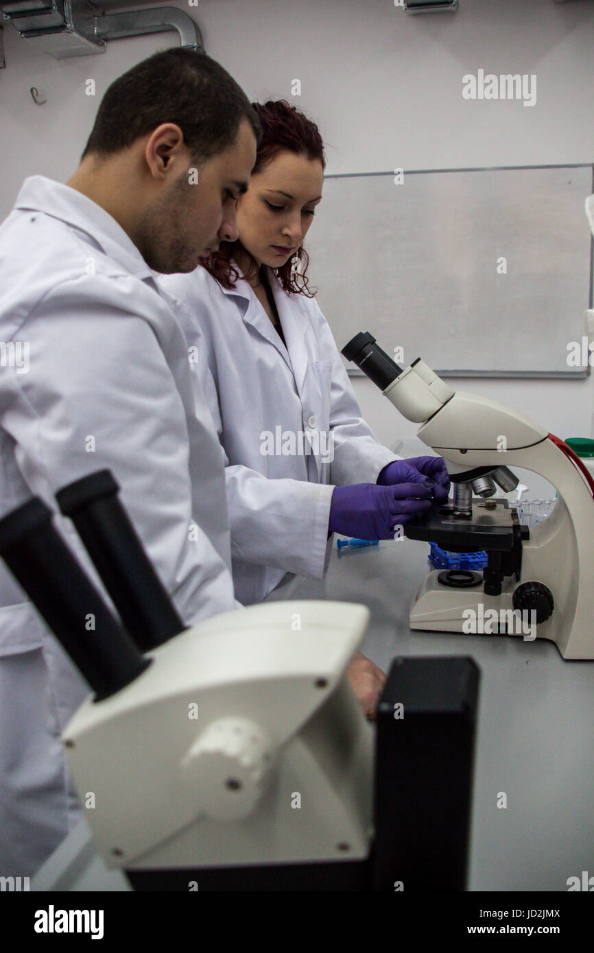 Phd student laboratory hi-res stock photography and images - Alamy